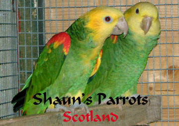 BREEDS NEEDS AMAZONS